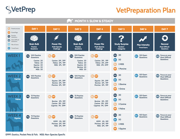 Thank You! | VetPrep